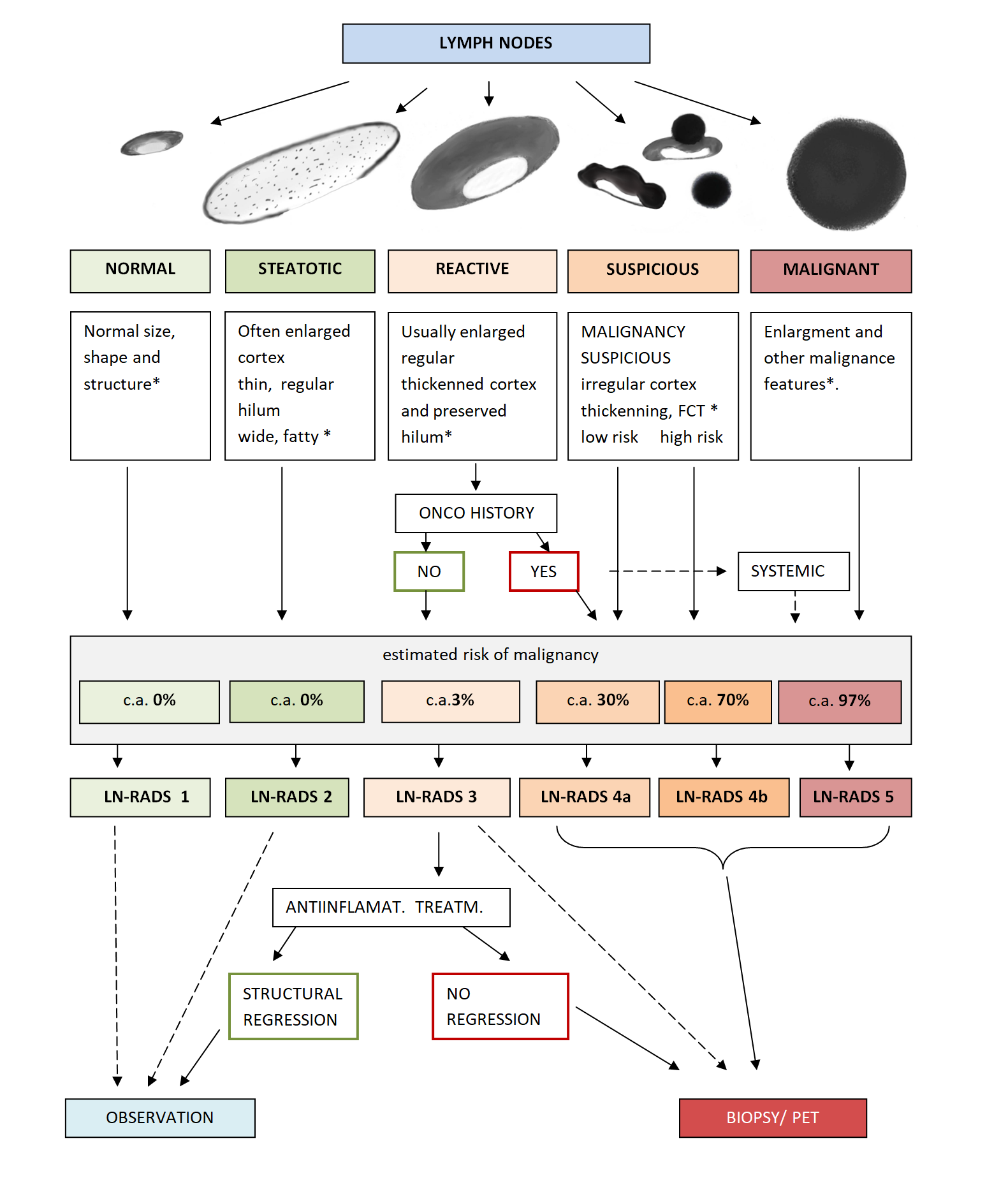BÀI SOẠN VỀ SIÊU ÂM CHẨN ĐOÁN: LN-RADS - Lymph Nodes Reporting and Data ...